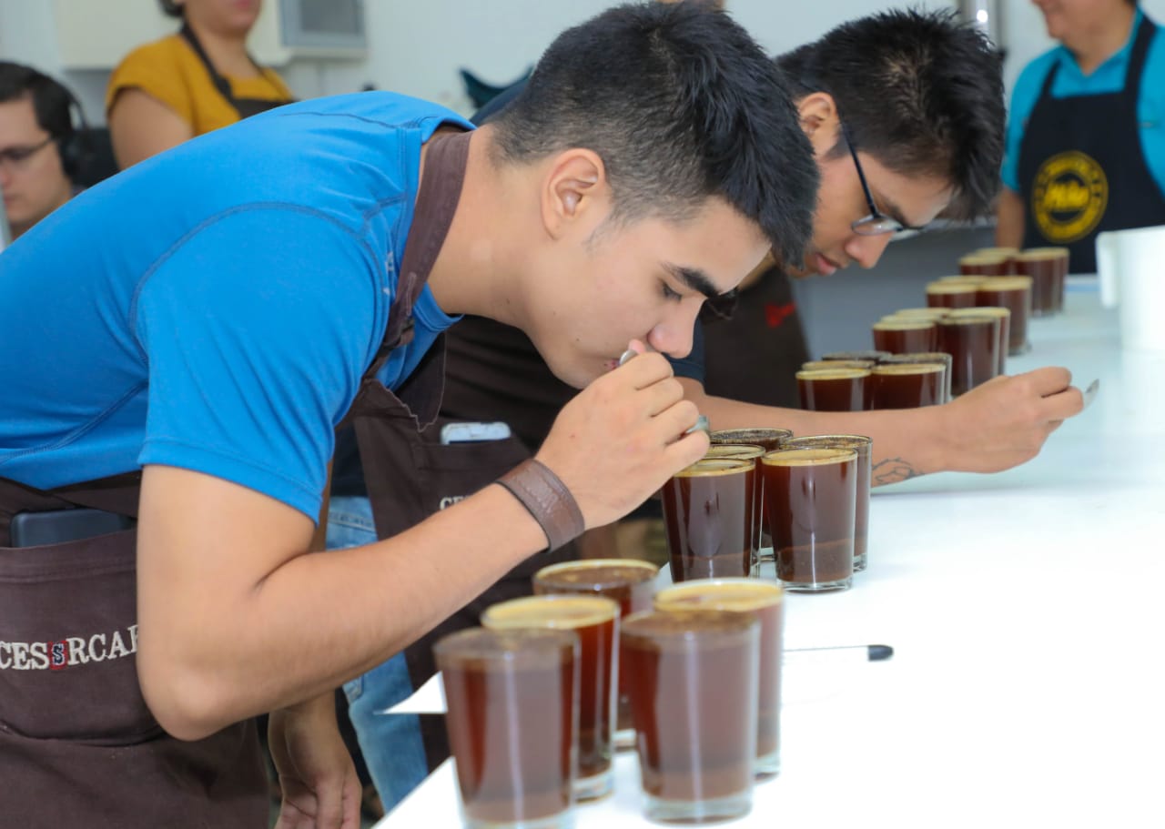 Usco ganó convocatoria de Minciencias con proyecto de investigación del ...