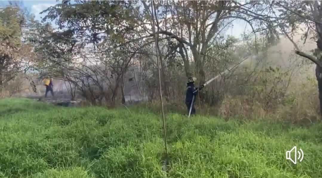 Segunda temporada seca del año registra 7 incendios forestales - TSM ...