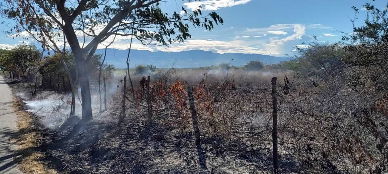 Segunda temporada seca del año registra 7 incendios forestales - TSM ...