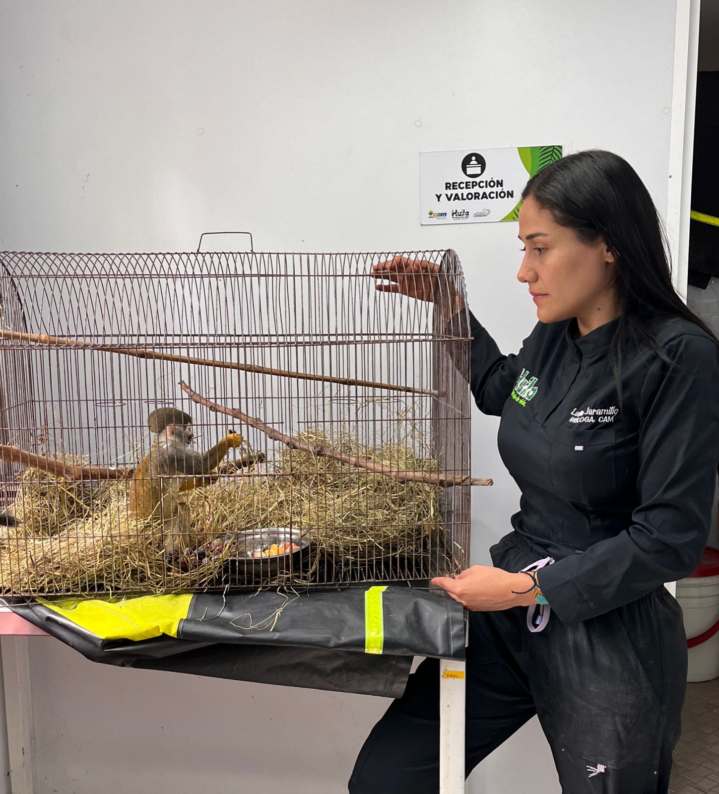 La CAM continúa su lucha contra el tráfico de fauna silvestre - TSM ...