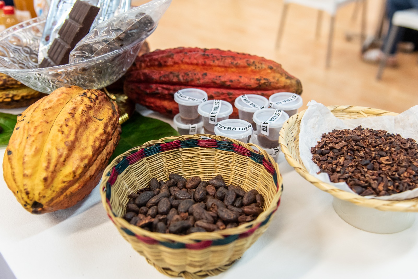 Chocoshow 2023, la feria para deleitarse con el mejor cacao y el ...