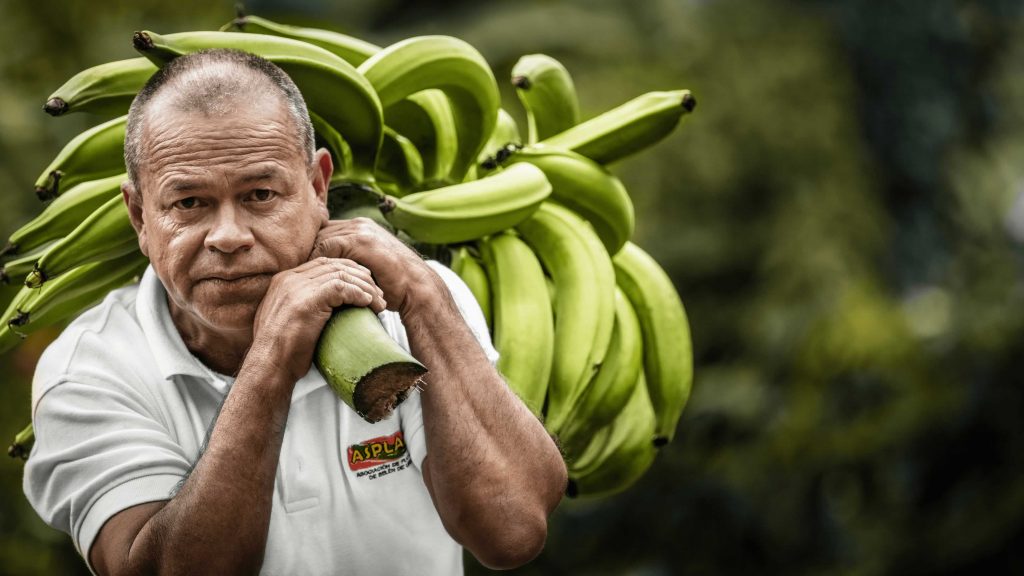 Snack cultivado en Colombia y hecho con plátano 100% natural transforma ...