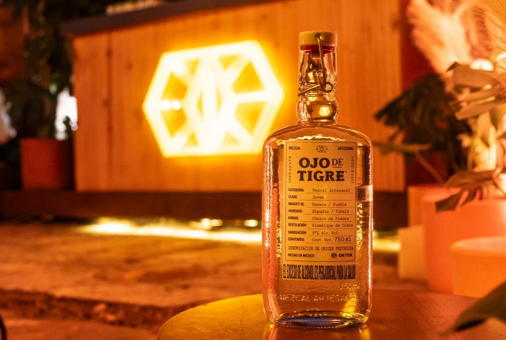 Actor Luis Gerardo Méndez lanza oficialmente su mezcal en Colombia ...
